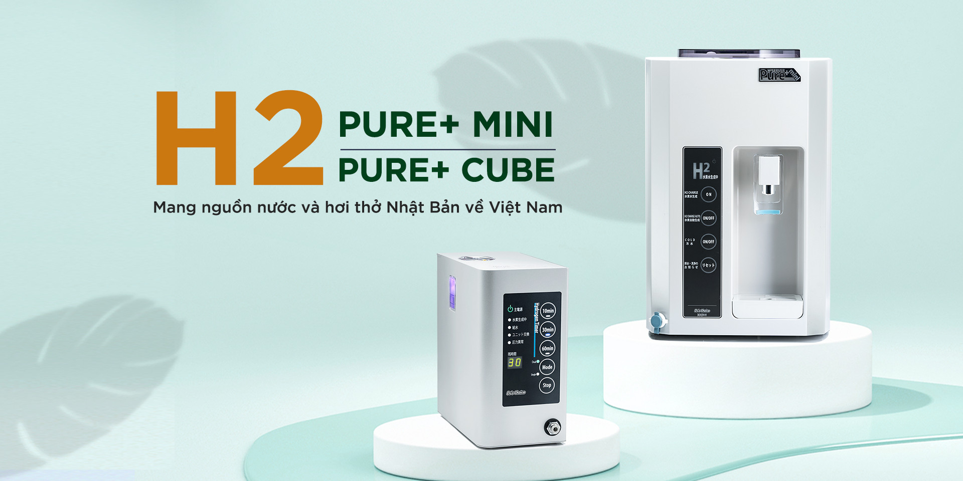 Deluxe Healthcare Vietnam - Chăm sóc sức khỏe cao cấp Việt Nam